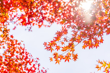 Canada Embassy in Atlanta | Blog | Click2visas