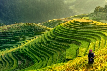 Vietnam Consulate San Francisco | Blog | Click2visas