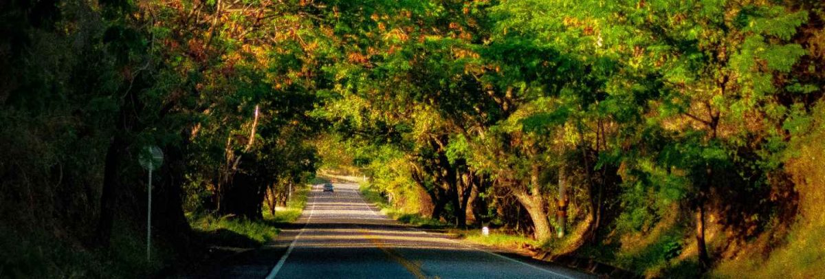 Colombian Embassy Miami | Blog | Click2visas