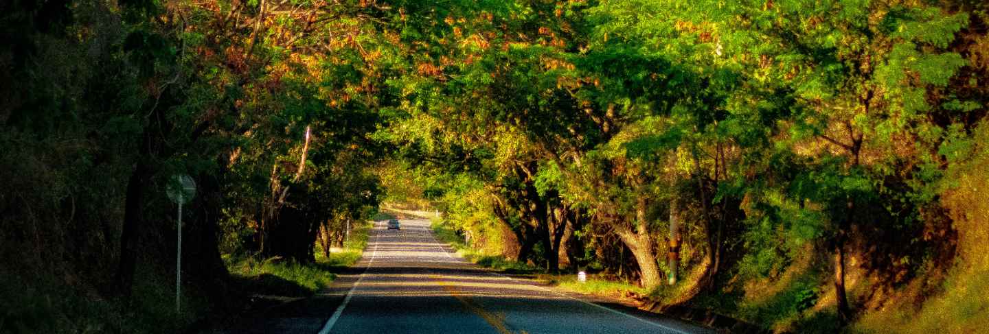 Colombian Embassy Miami | Blog | Click2visas