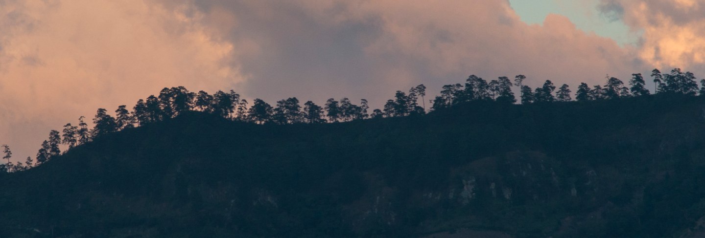 El Salvador Consulate Elizabeth | Blog | Click2visas