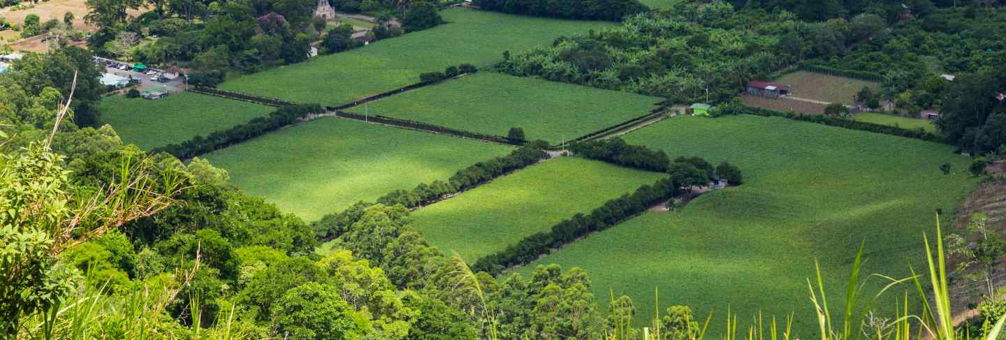 Costa Rica Embassy Miami | Blog | Click2visa