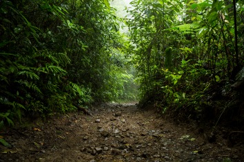 Costa Rica Consulate Tucson | Blog | Click2visa