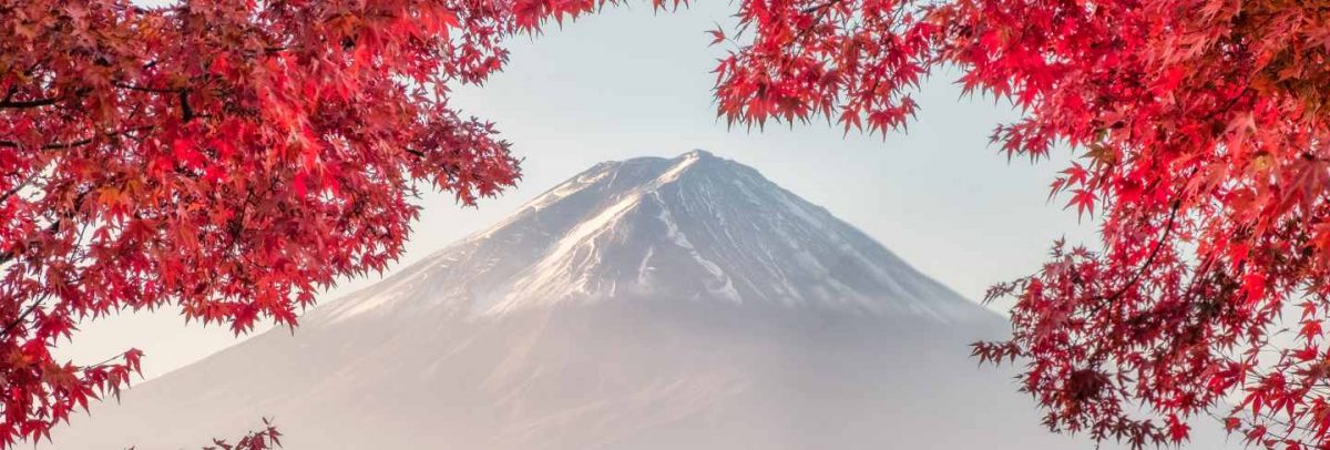 Japanese Consulate Los Angeles | Blog | Click2visas