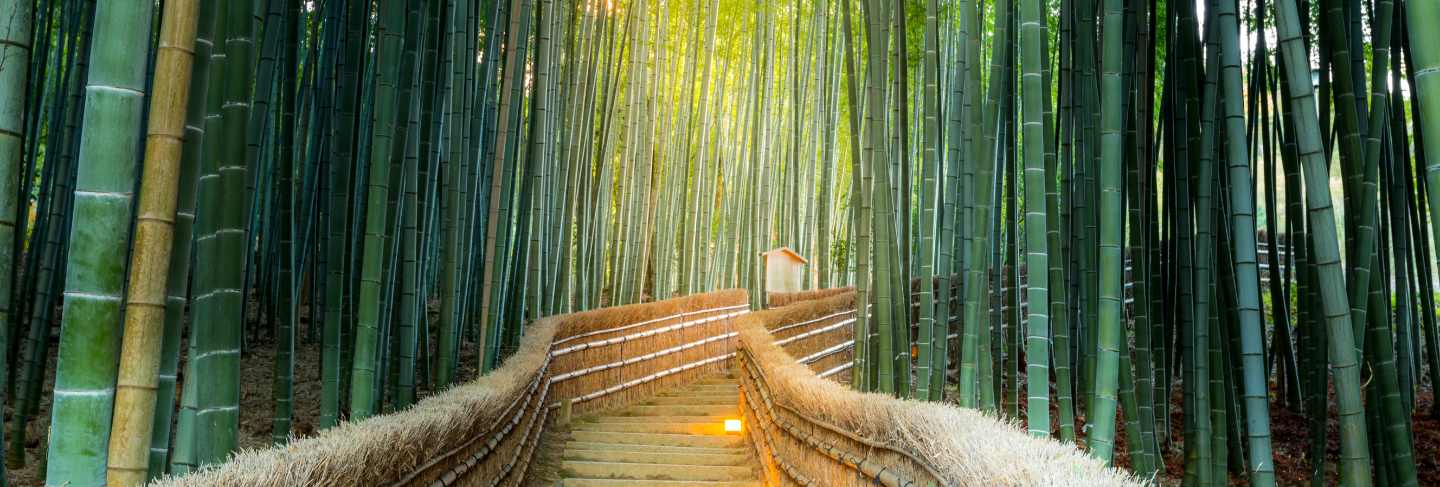 Japanese Embassy Miami | Blog | Click2visas