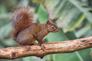 Ecuadorian Embassy in Washington DC | Blog | Click2visas