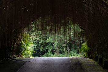 Ecuador Consulate Atlanta | Blog | Click2visas