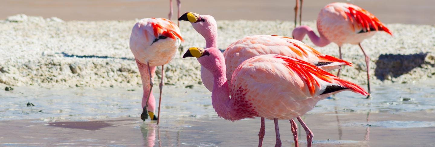 Peru Visa Requirements | Blog | Click2visas