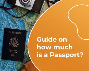 How much is a Passport? | Blog | Click2visas